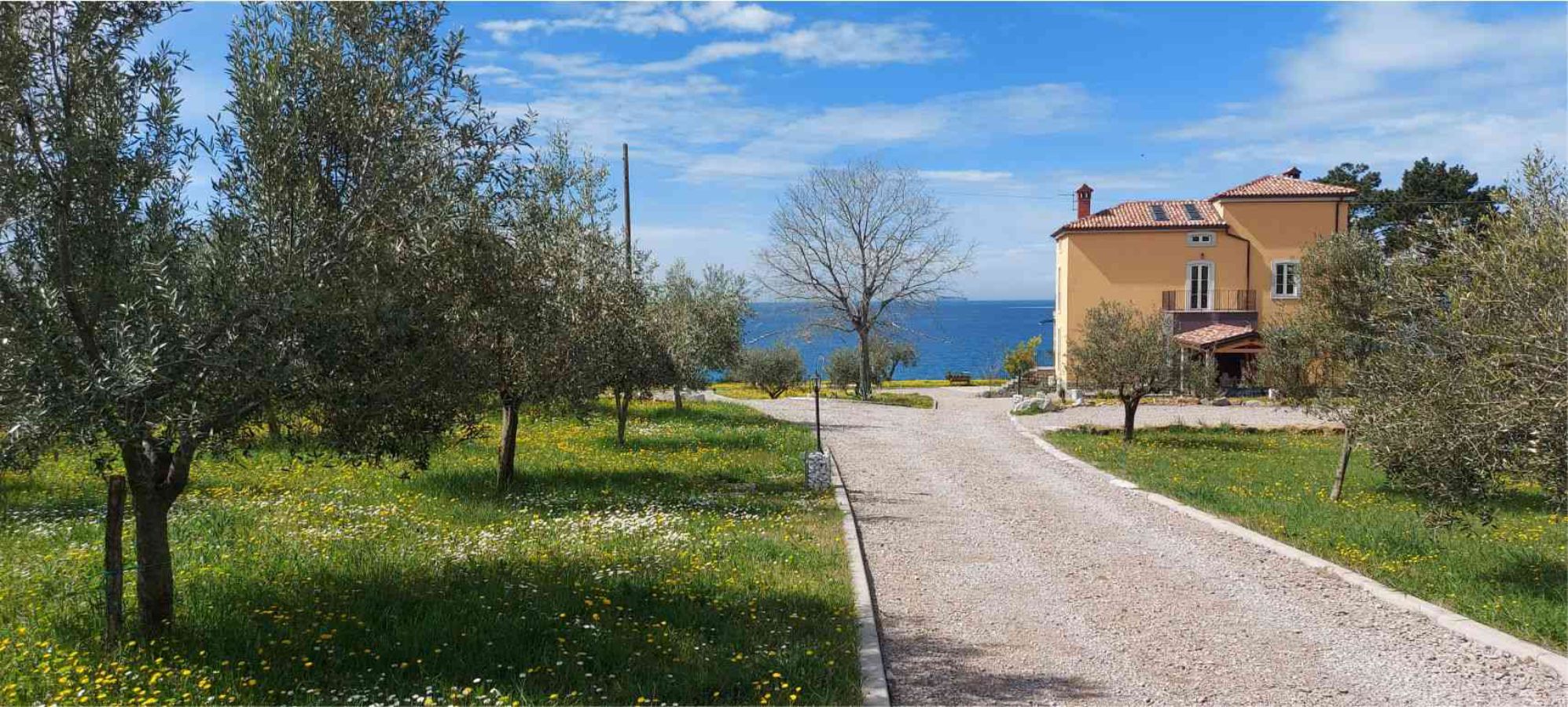 Apartment Trieste